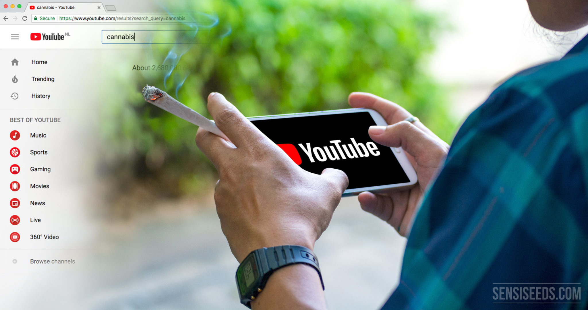 10 Cannabis YouTube channels you should watch - Sensi Seeds