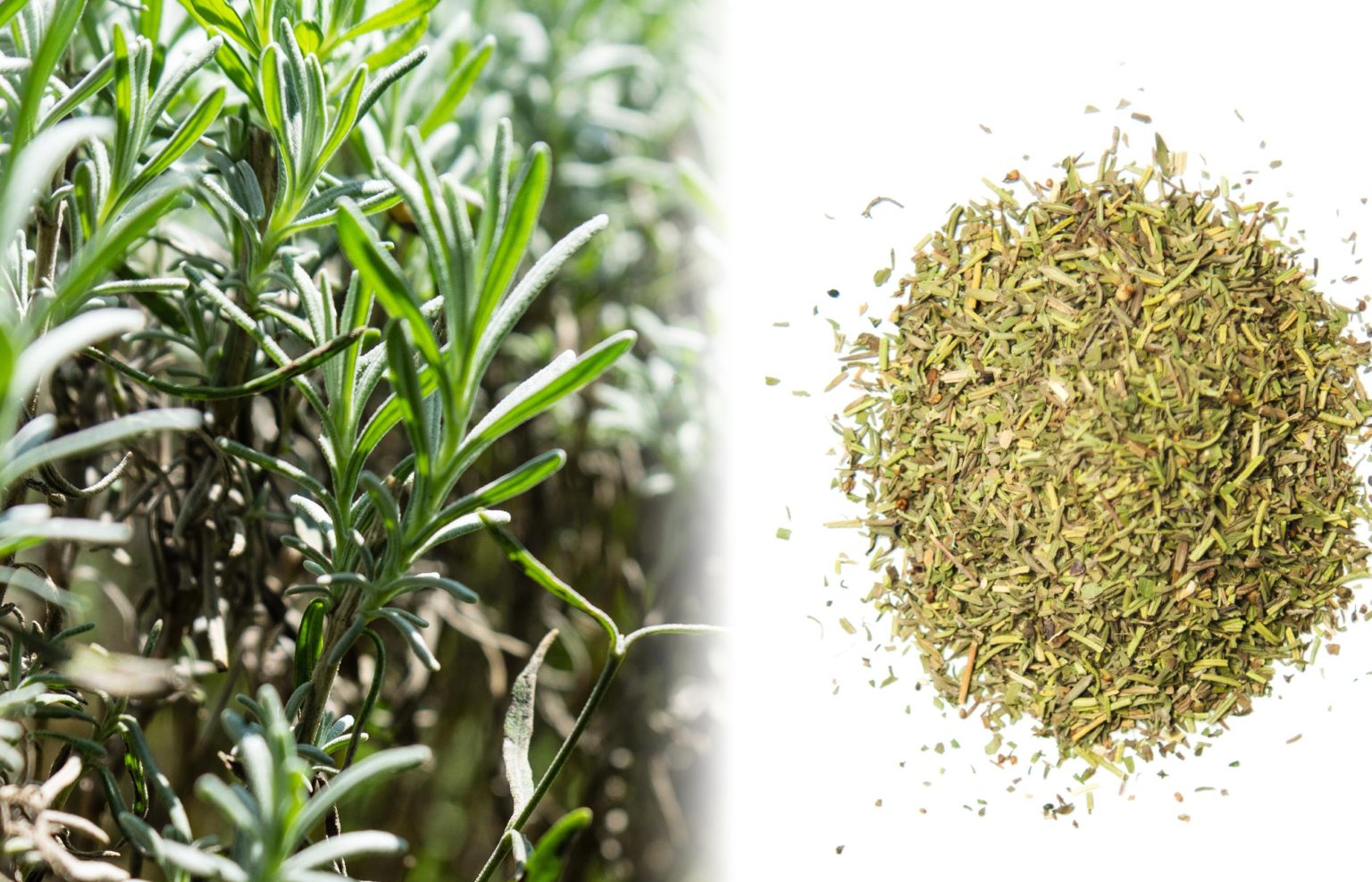10 Alternatives to Tobacco to Mix with Cannabis - Sensi Seeds