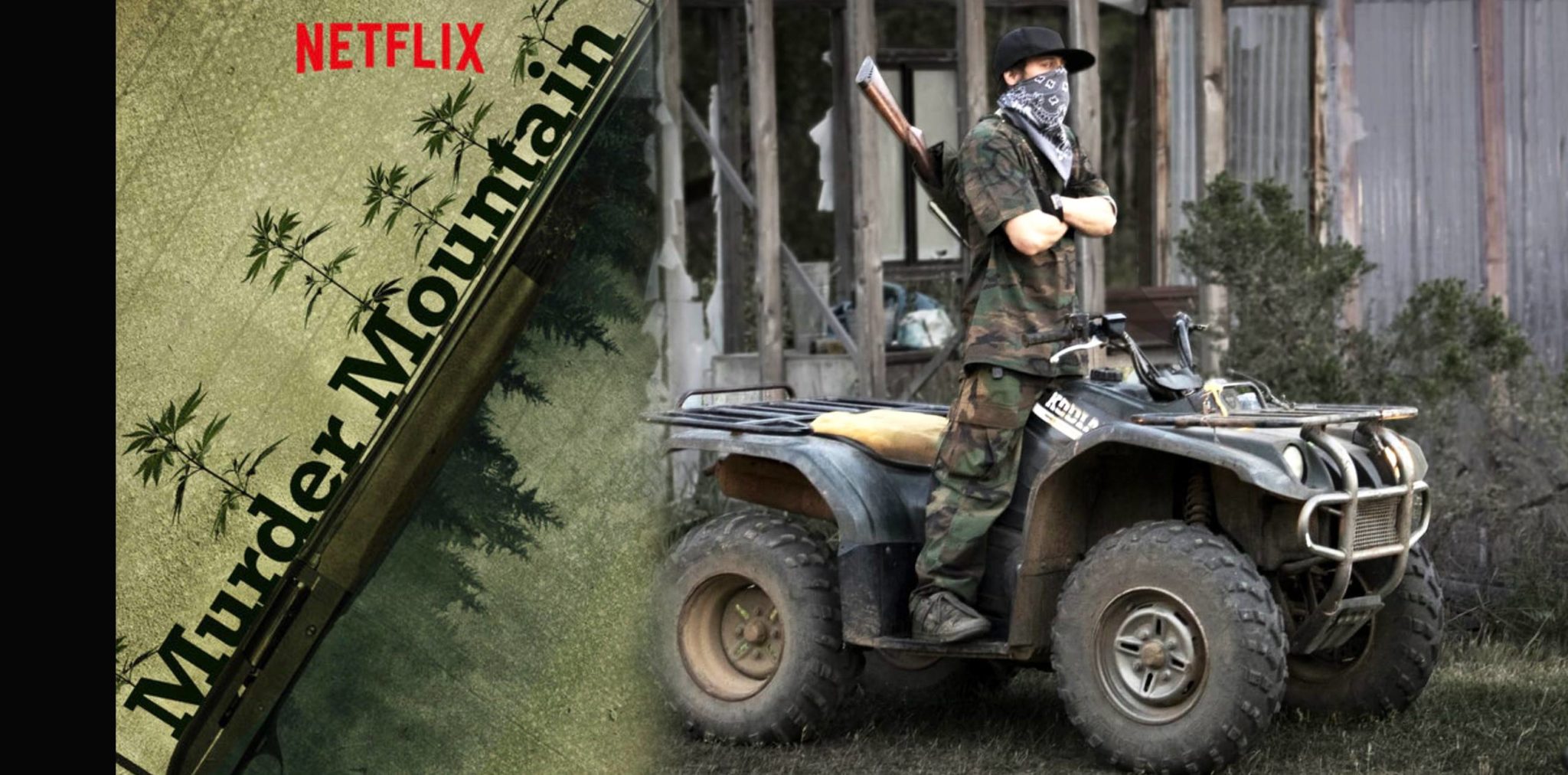 13 Best Stoner Movies & TV Shows of All Time - Sensi Seeds