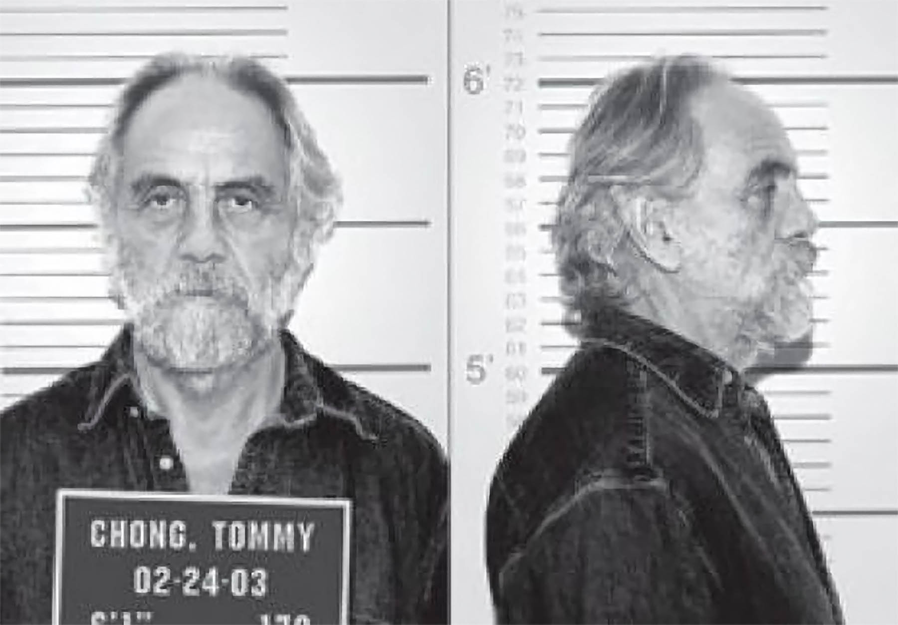 Tommy Chong & Cannabis: Profile, Interview & Videos - Sensi Seeds