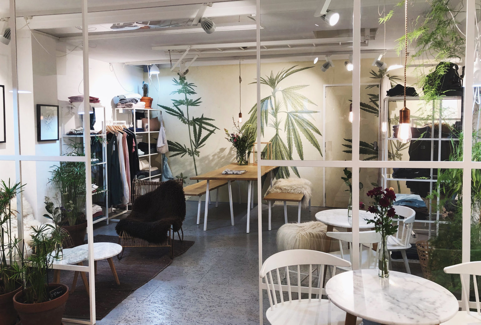 Hempstory: Amsterdam’s Hemp-Dedicated Café - Sensi Seeds