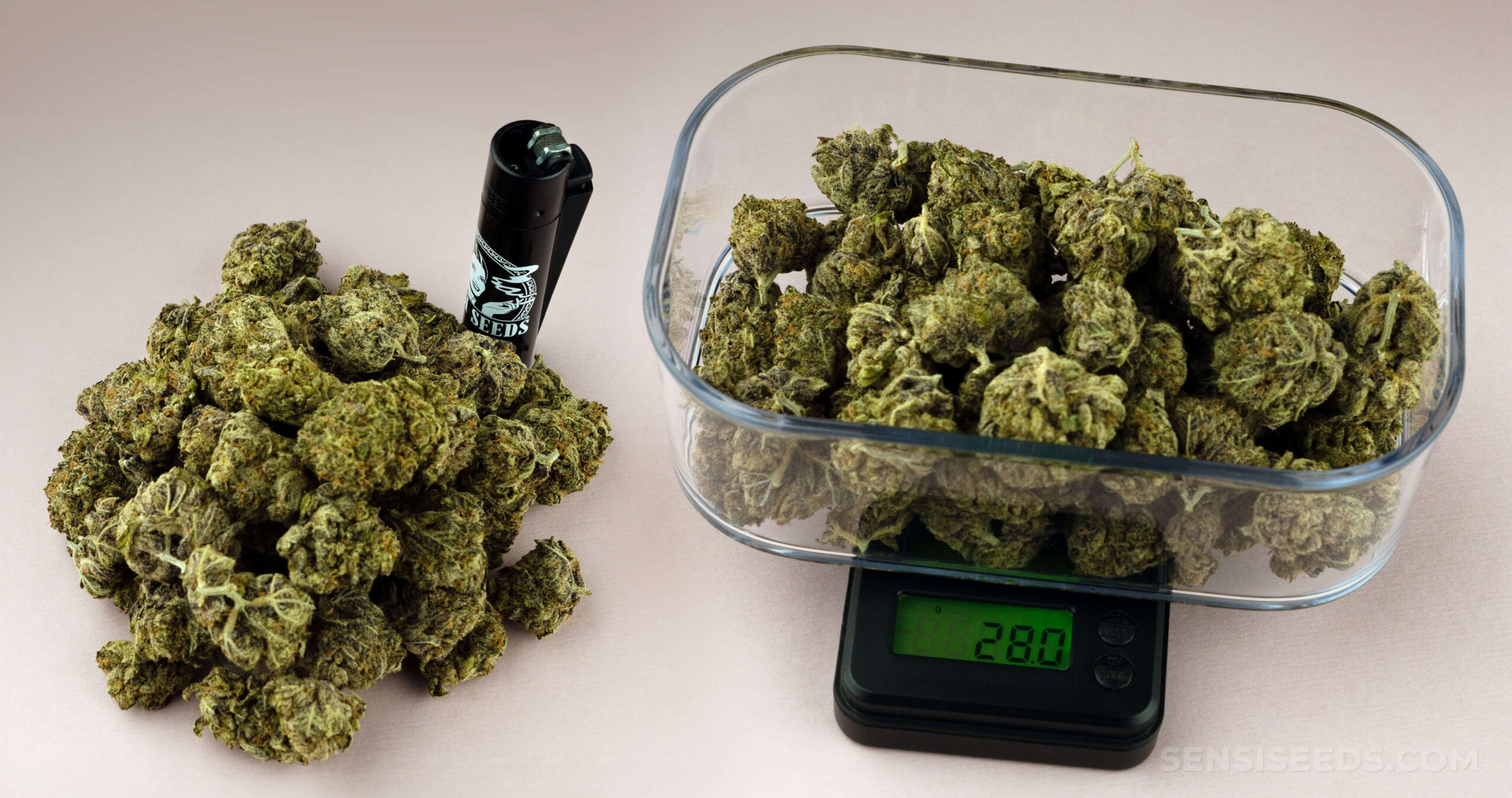 Weed Measurements A Visual Guide Sensi Seeds Weed Measurements A Visual Guide Sensi Seeds