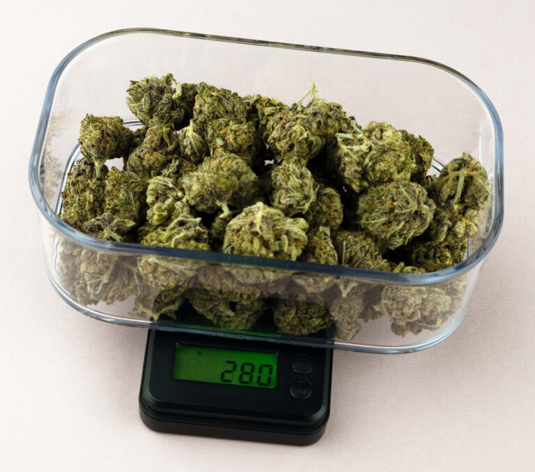 Medidas de hierba: Guía visual - Sensi Seeds