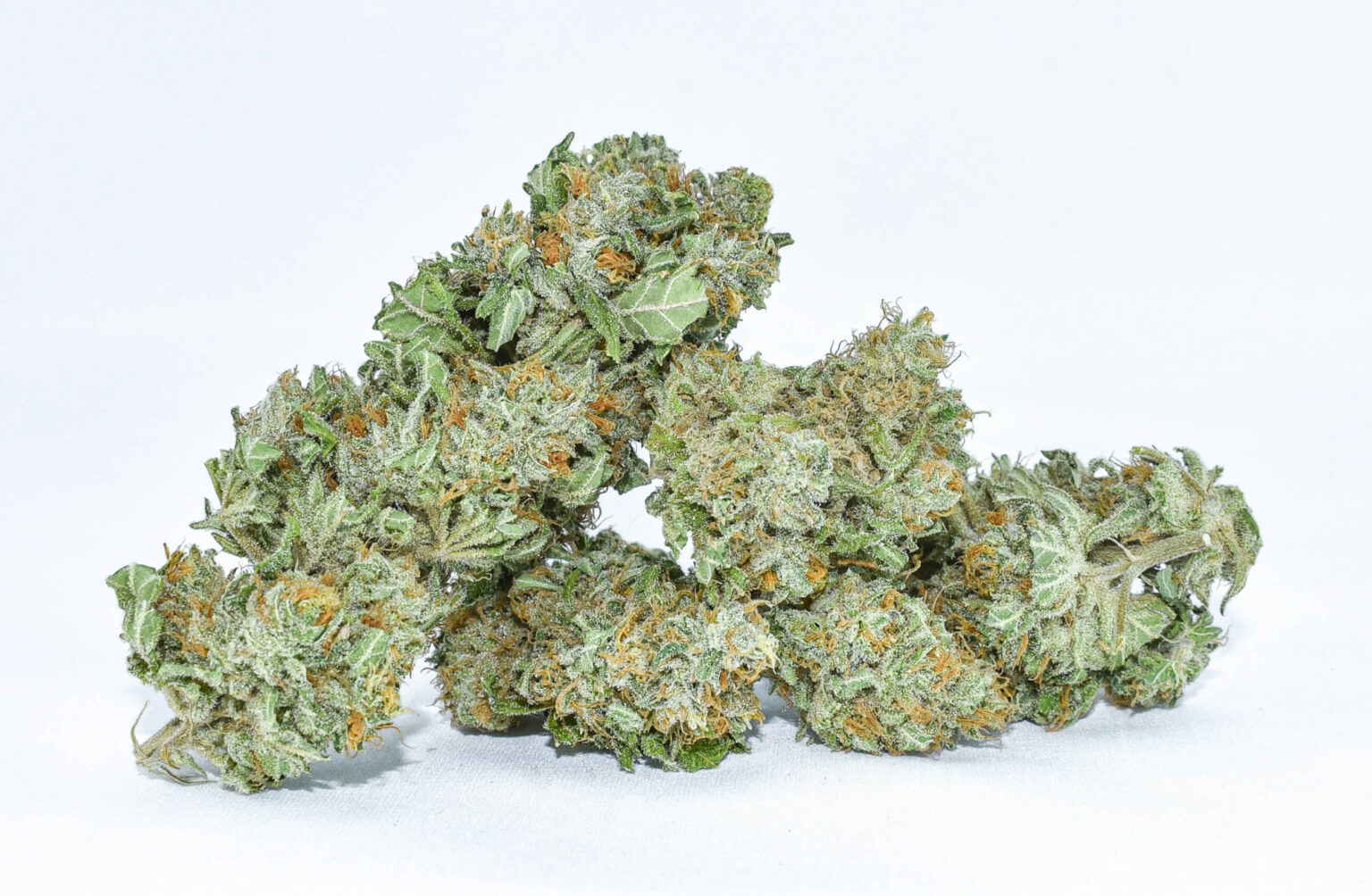 White Weed Strains: 11 Best White Strains and Their Origins - Sensi Seeds